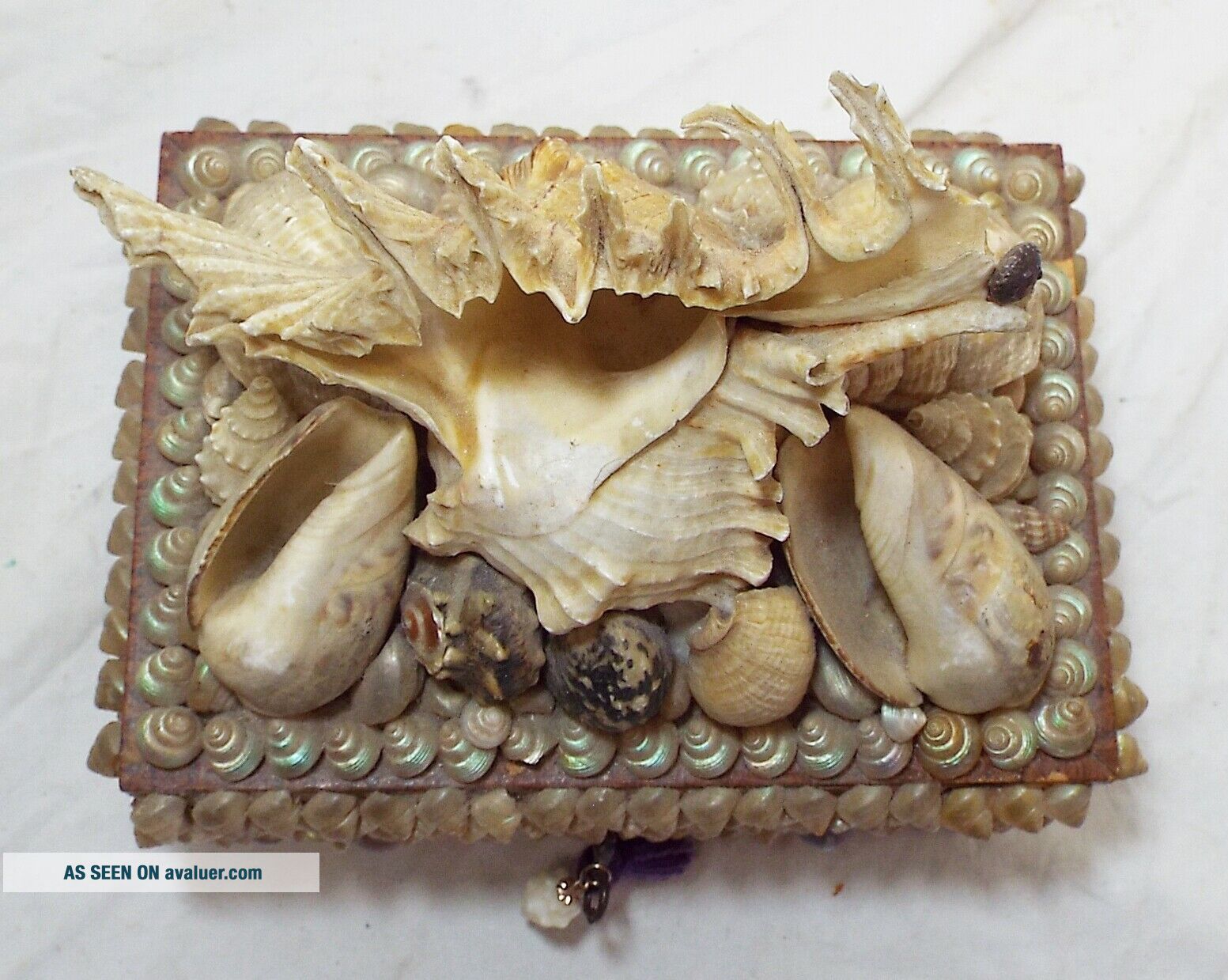 RARE Antique FRENCH C1900 SHELL ART Seashell Encrusted Wooden JEWELRY ...