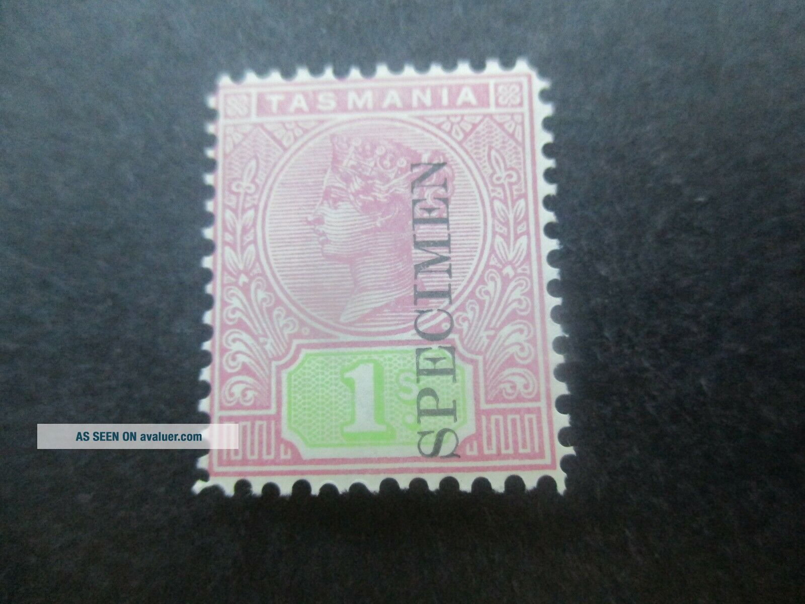 Tasmania Stamps: Specimen Overprint - Rare (e120) | #8352655