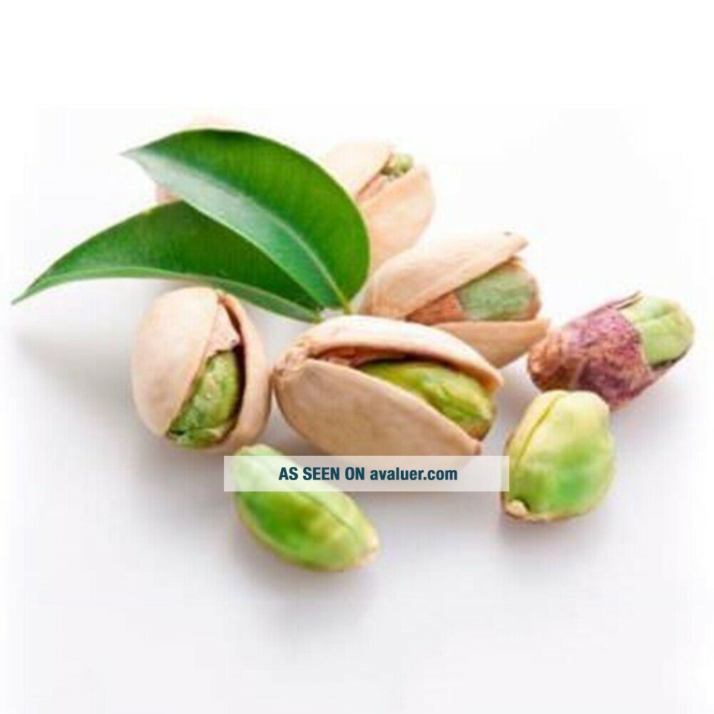 50x Nut Tree Pistachios Seeds Pistacia Rare Fruit Tree Seeds Rare ...
