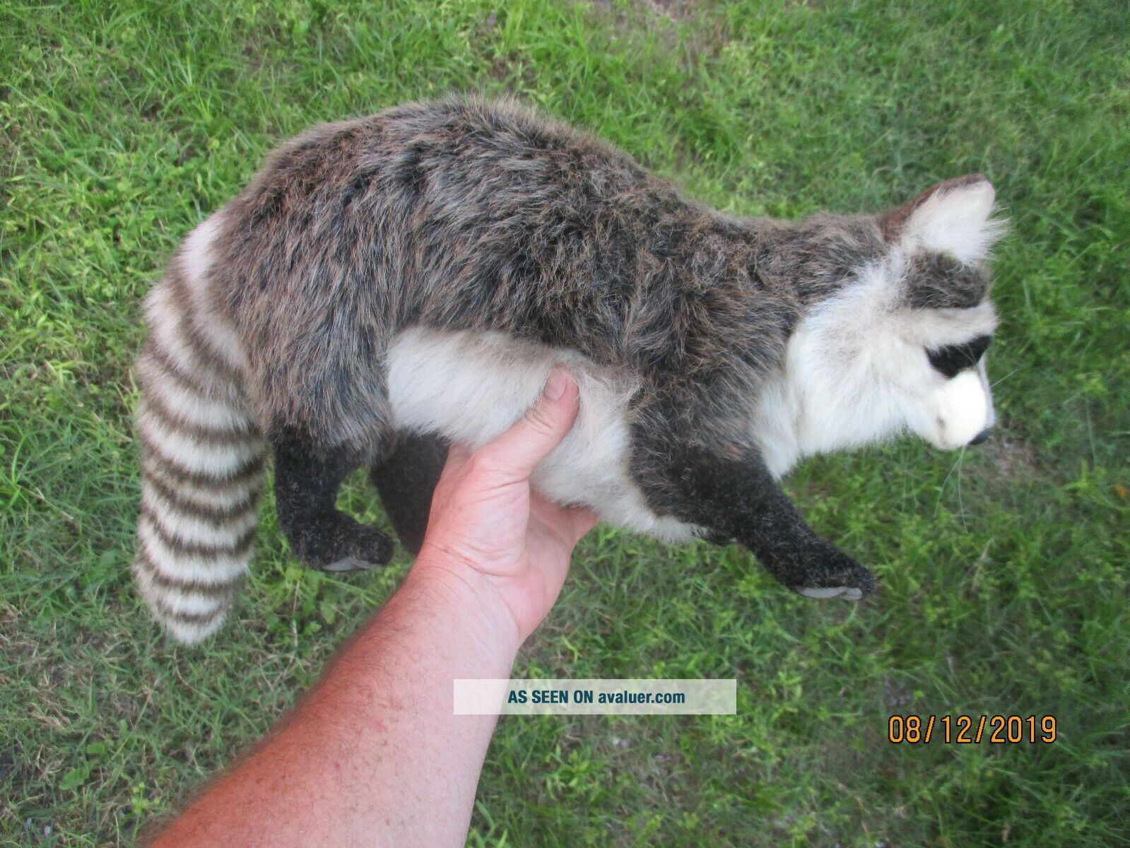HANSA TOYS STUFFED ANIMAL STANDING RACCOON AMAZINGLY REAL LIFE & REAL ...