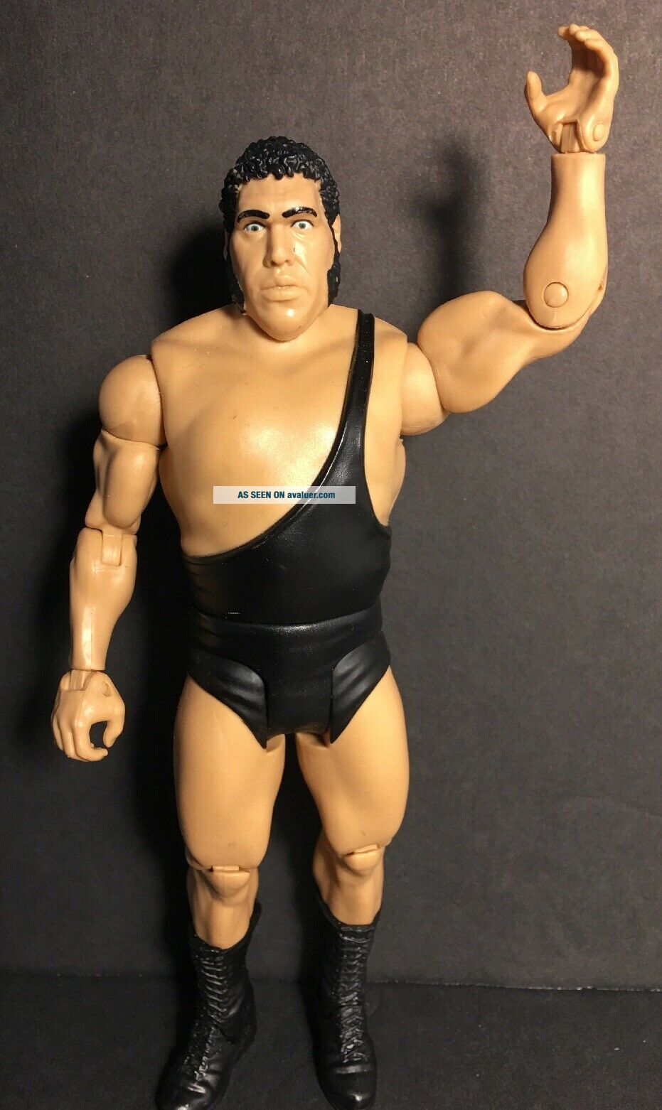 Hulk Hogan Andre The Giant Jake The Snake Roberts Hacksaw Jim Duggan ...