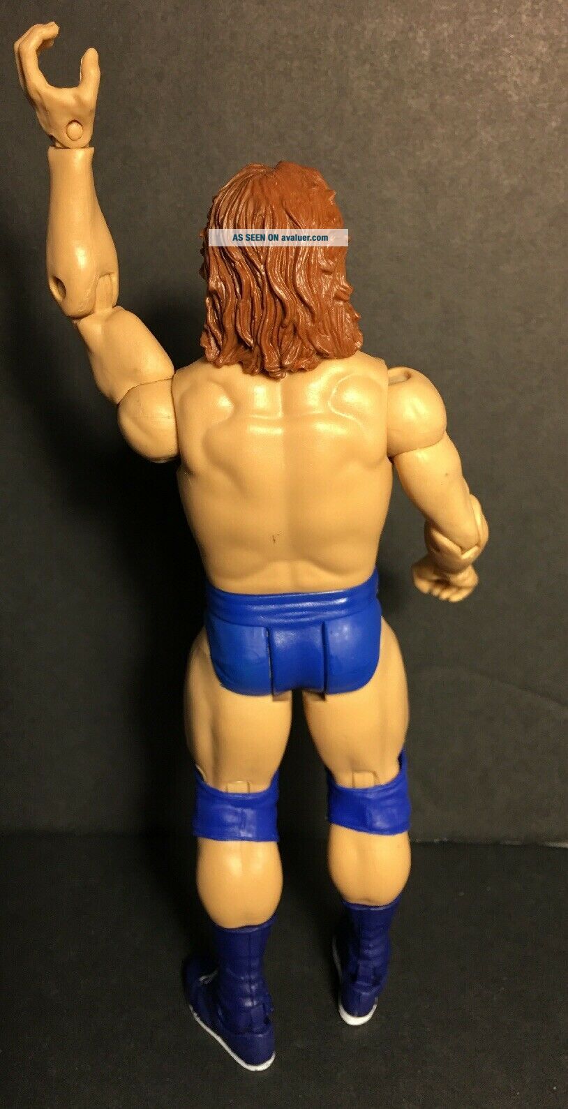 Hulk Hogan Andre The Giant Jake The Snake Roberts Hacksaw Jim Duggan ...