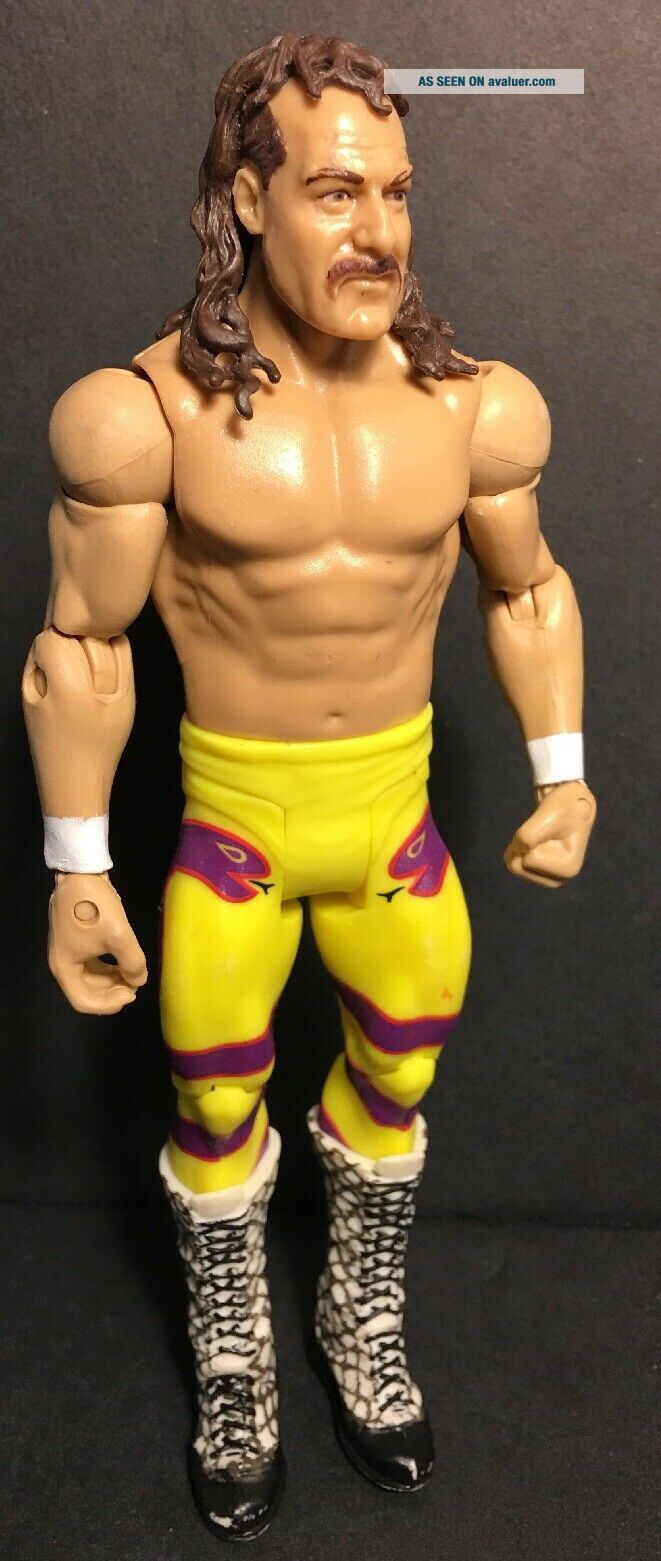 Hulk Hogan Andre The Giant Jake The Snake Roberts Hacksaw Jim Duggan ...