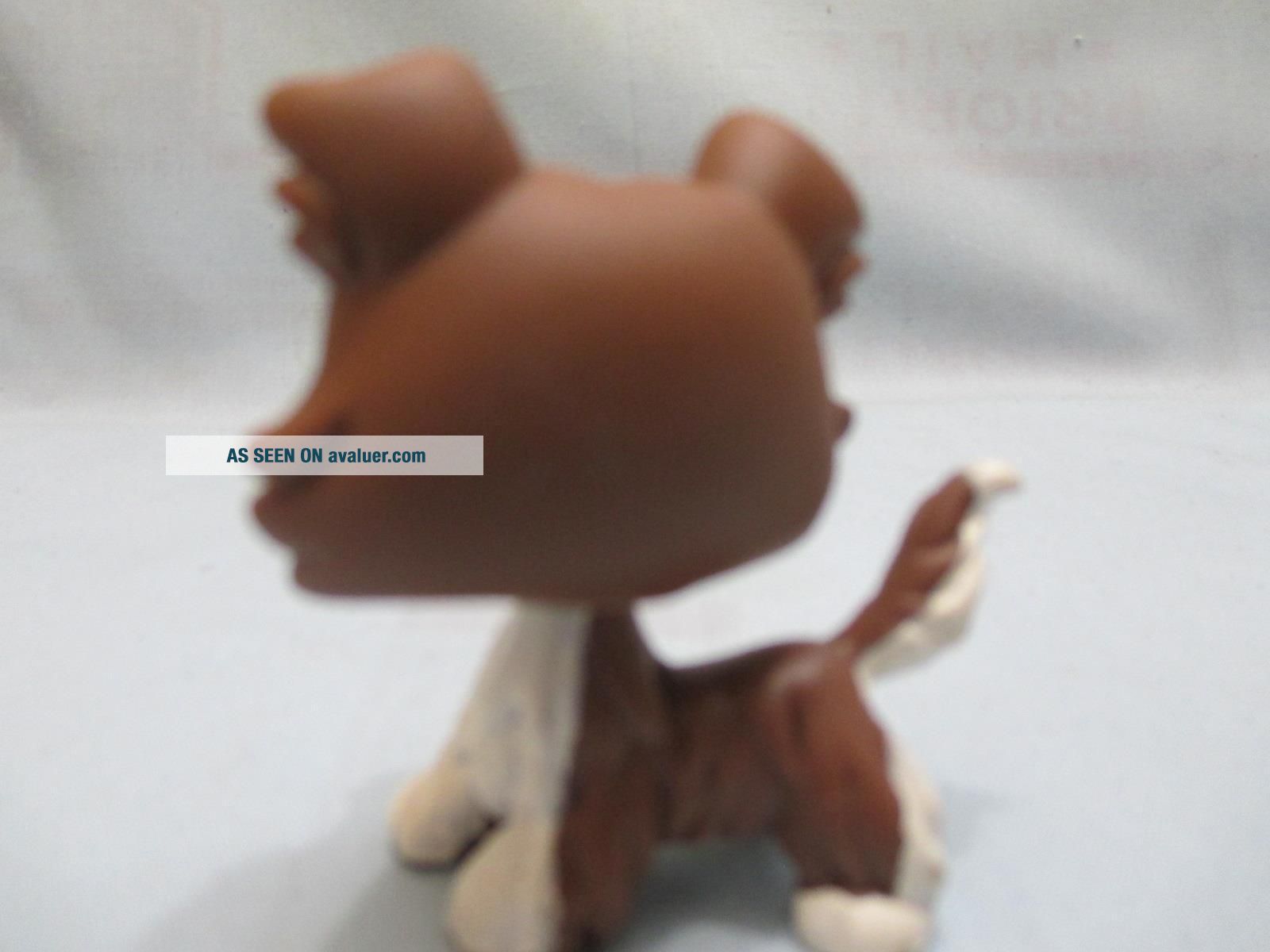Littlest Pet Shop Dog Collie No Number Accessory Authentic Lps ...
