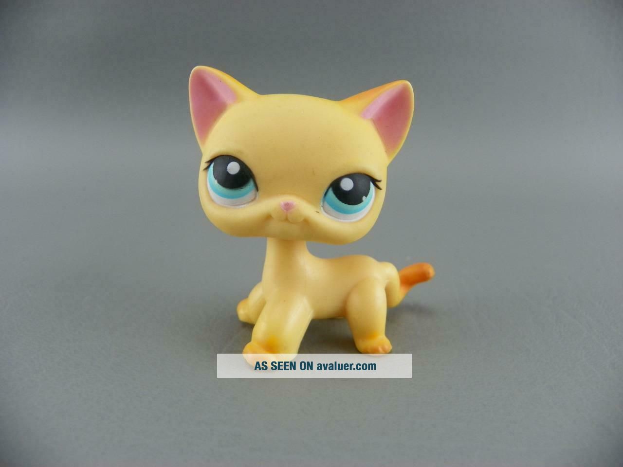 Authentic Littlest Pet Shop LPS Short Haired Yellow Siamese Cat 339 ...