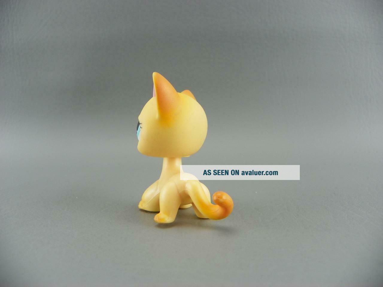 Authentic Littlest Pet Shop LPS Short Haired Yellow Siamese Cat 339 ...