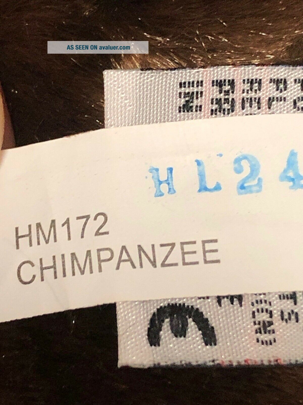 Plush Ganz Webkinz Chimpanzee HM172 (No Code Just Plush) | #9145726