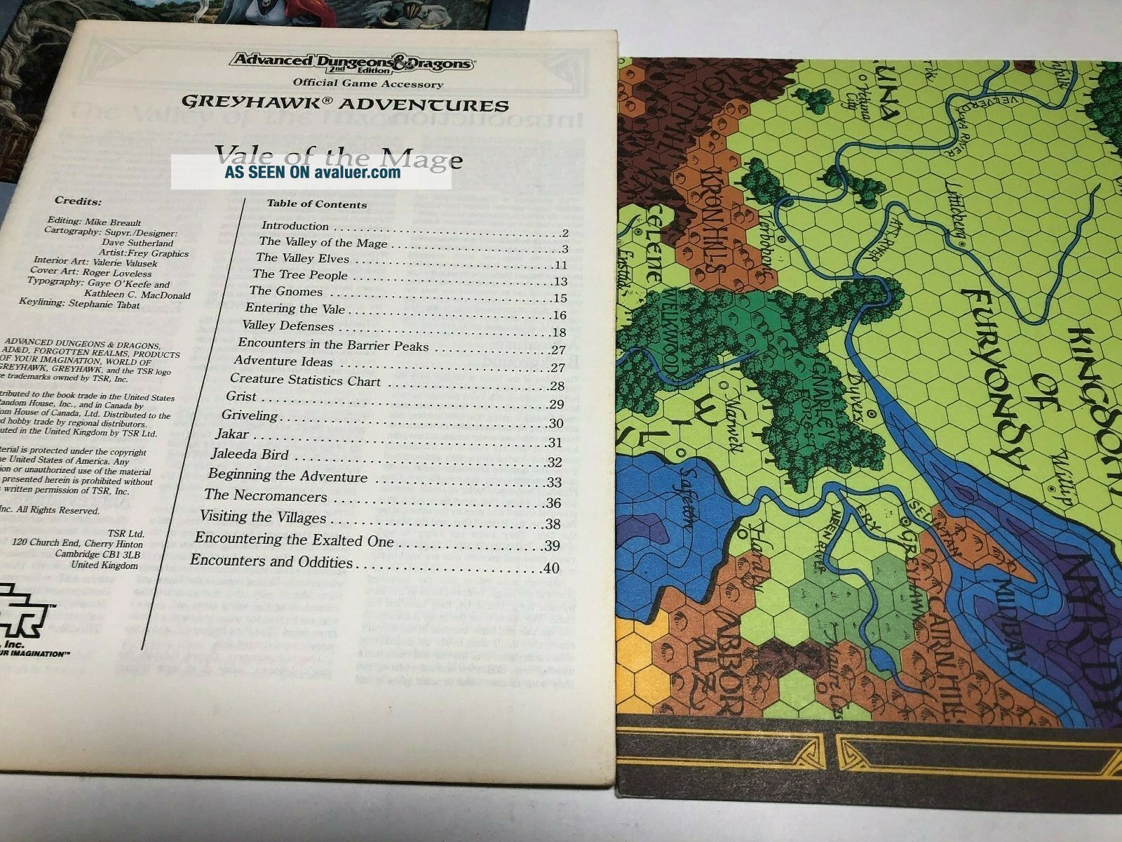Greyhawk Adventures Vale Of The Mage 9270 | #9543209