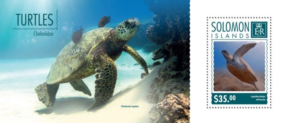 Turtles Schildkröten Reptiles Animals Marine Fauna Solomon Islands MNH ...